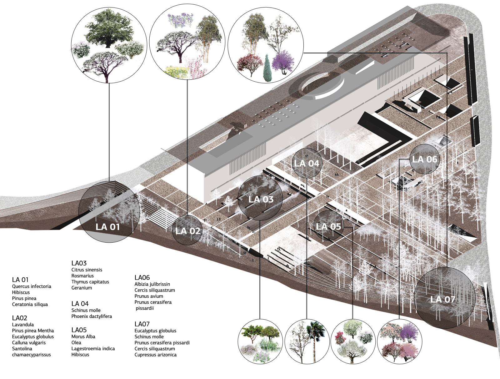New Cyprus Museum – Land n Arch